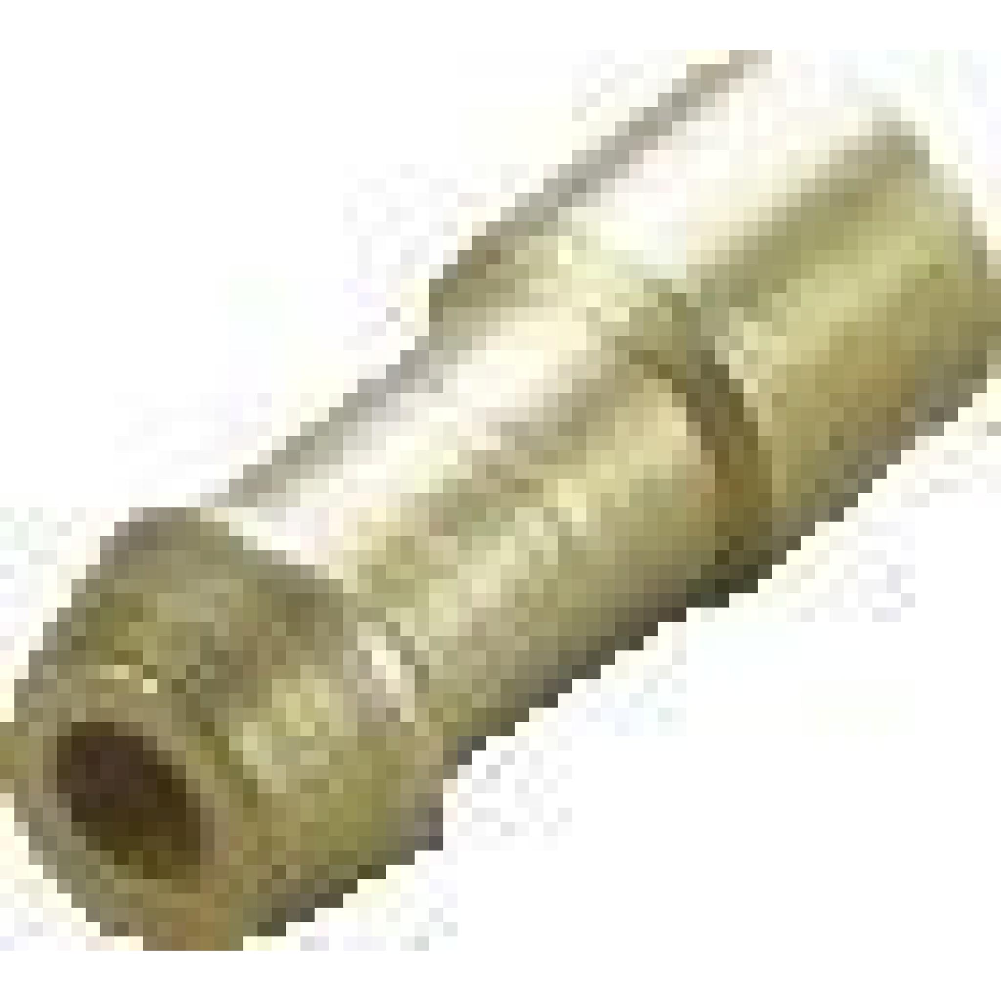 Uninsulated Brass Bullet Terminal Connector 4.7mm Crimp Type Up to 2mm≤ ...